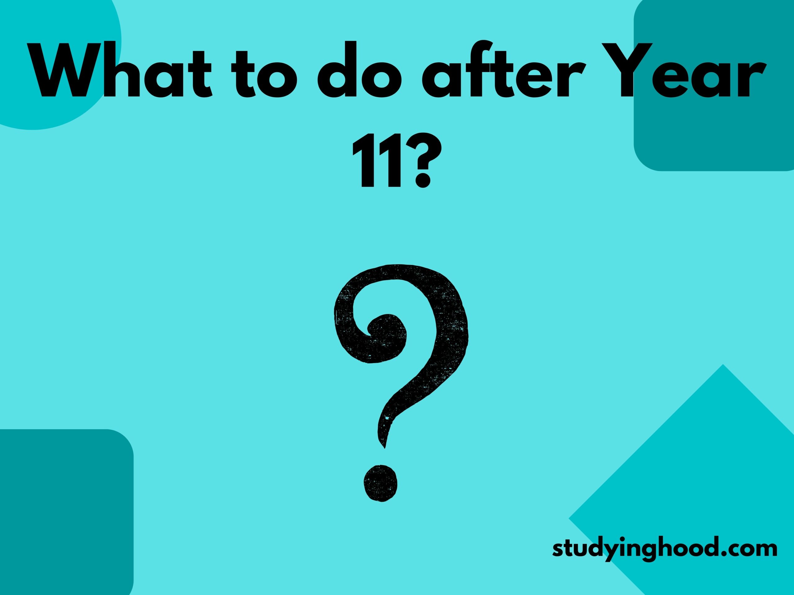 What to do after Year 11? - Cherish Study