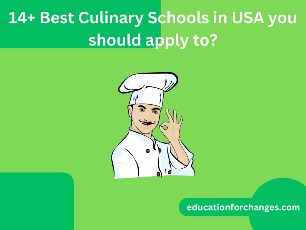 14+ Best Culinary Schools in USA you should apply to!