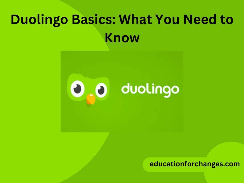 Duolingo Basics: What You Need to Know in 2024 - Cherish Study