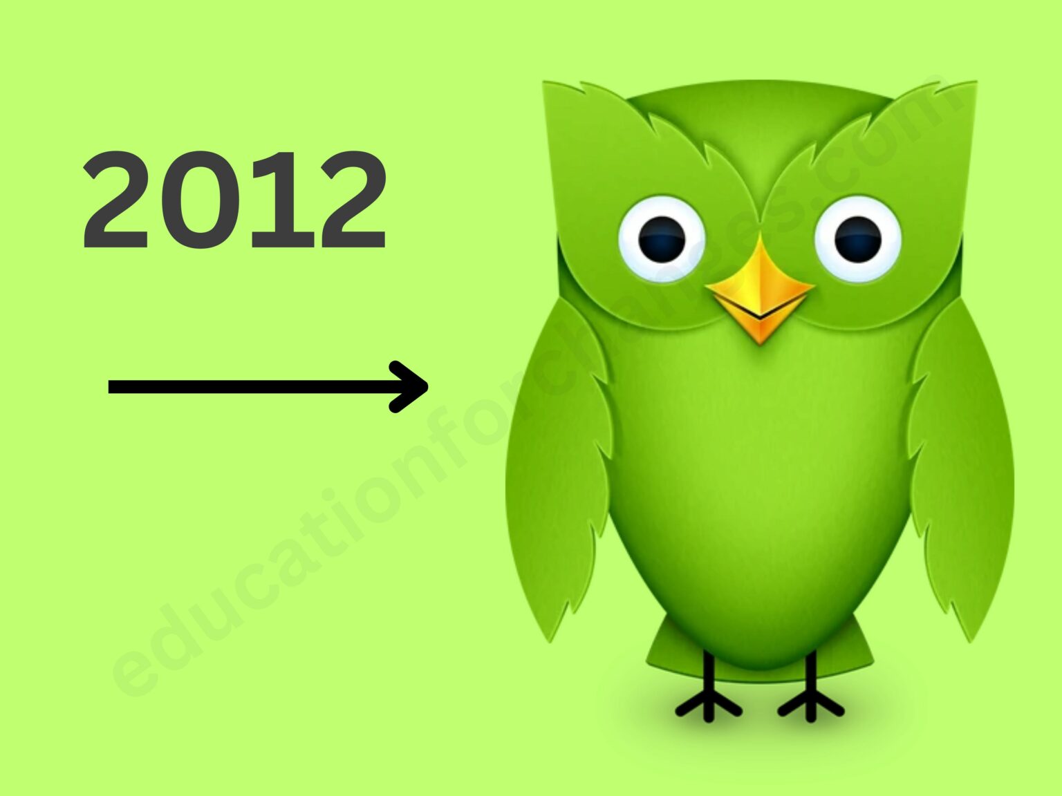 Meet The Duolingo Owl: How It Became So Popular? - Cherish Study