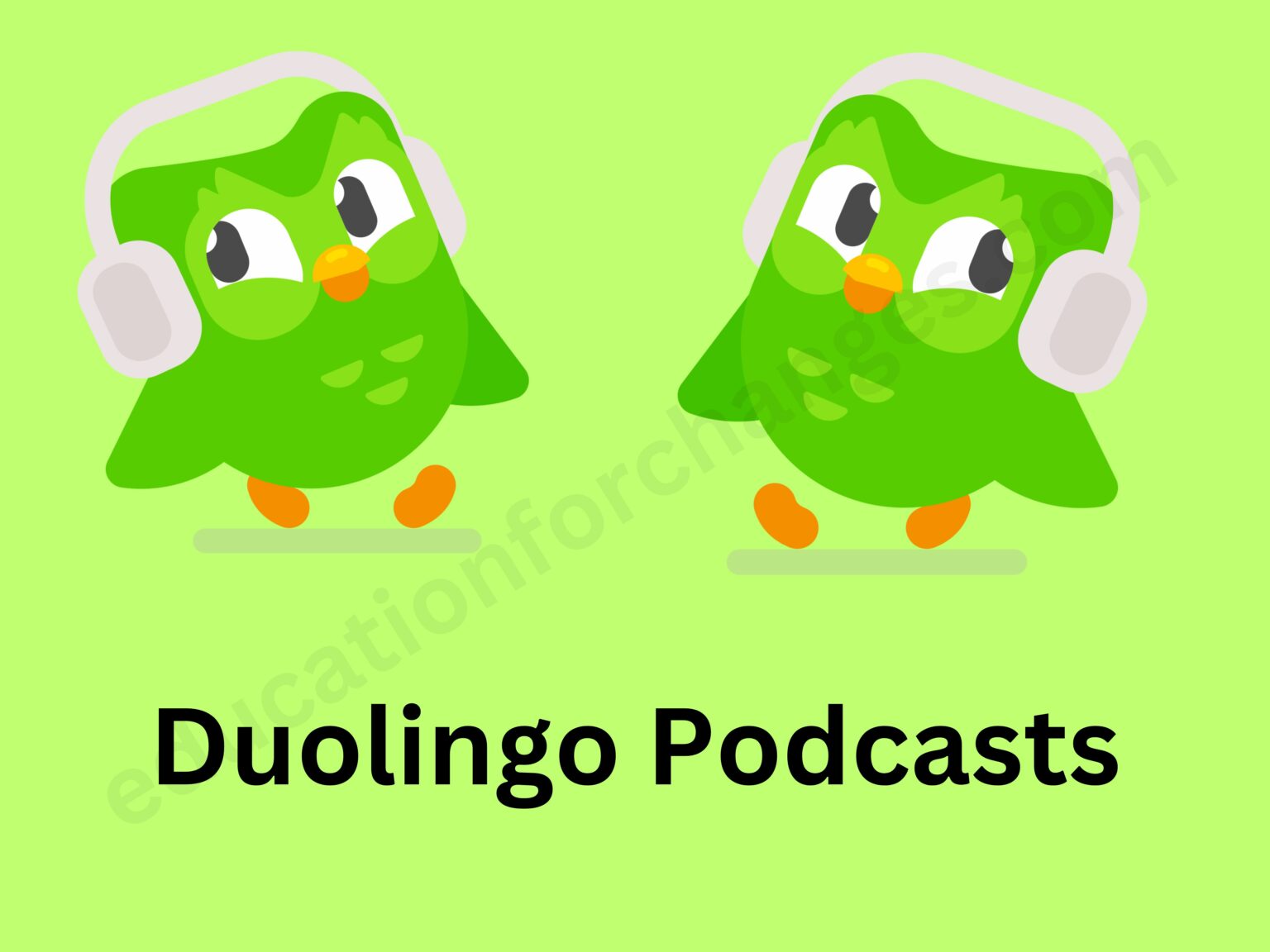 Learning French with Duolingo In-depth Guide 2024 - Cherish Study