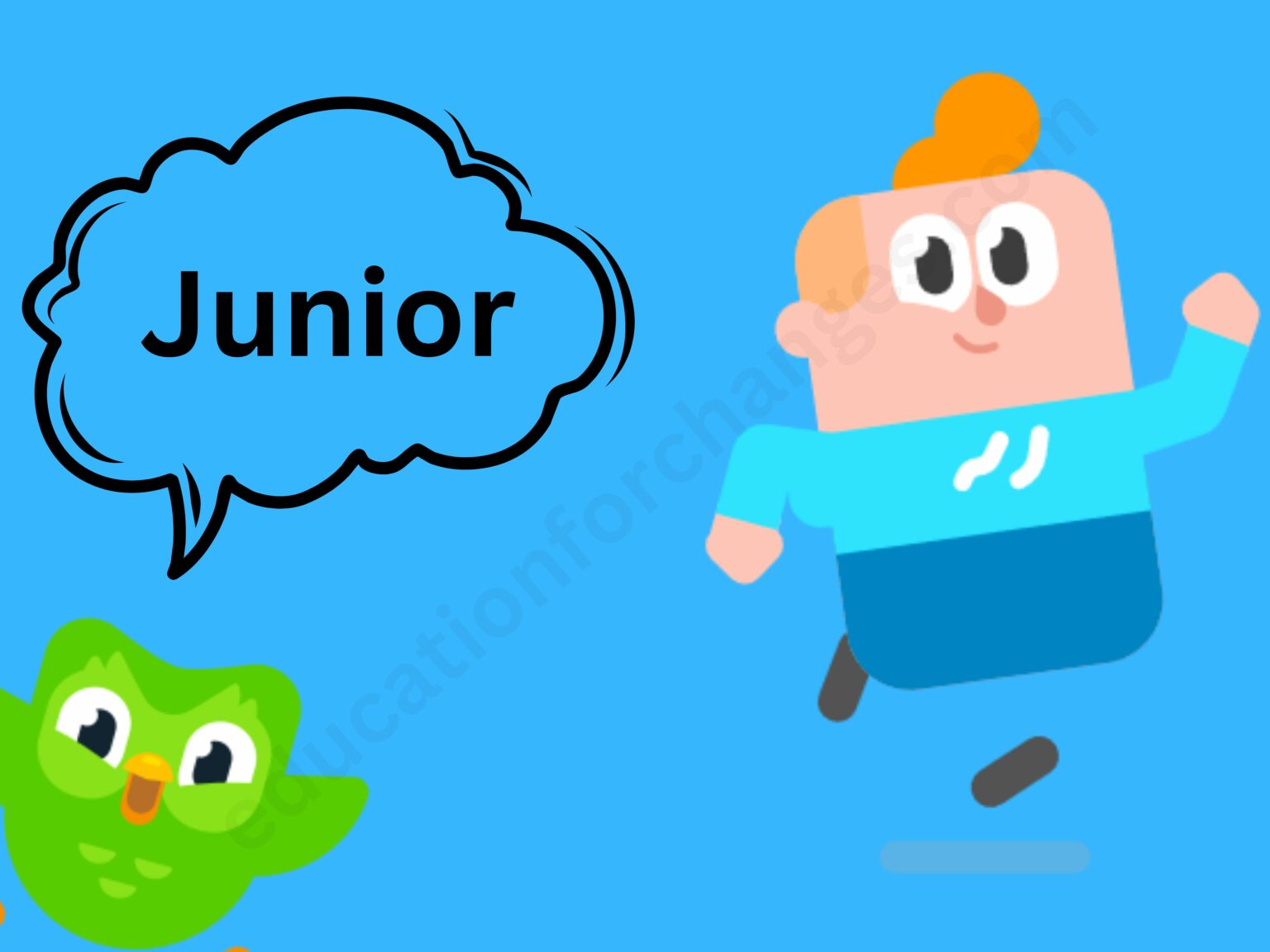 Updated Duolingo Character Names 2024 (Complete Guide) - Cherish Study