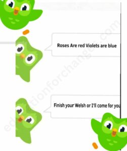 Meet The Duolingo Owl: How It Became So Popular? - Cherish Study