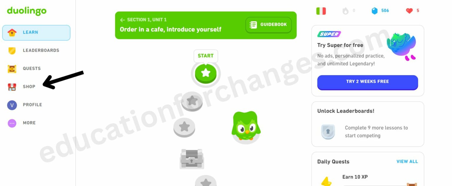 Duolingo Family Plan - Complete Guide 2024 (Everything Covered ...