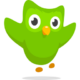 Meet The Duolingo Owl: How It Became So Popular? - Cherish Study