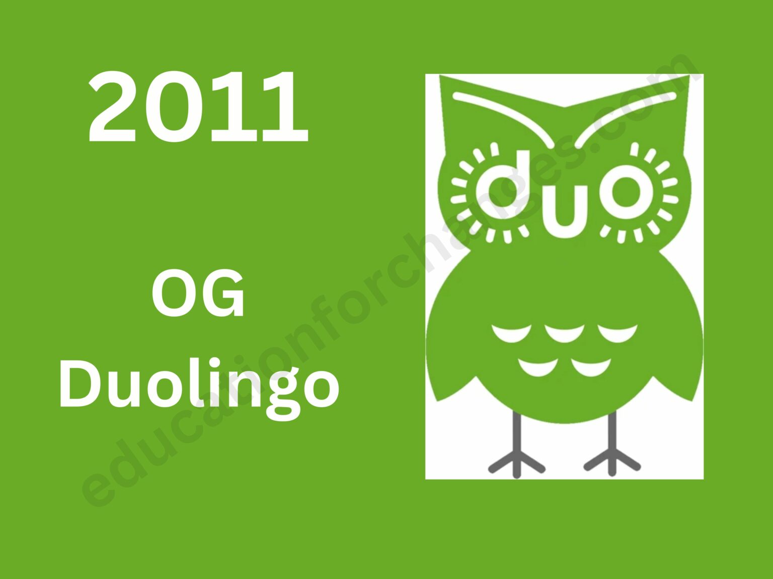 Meet The Duolingo Owl: How It Became So Popular? - Cherish Study