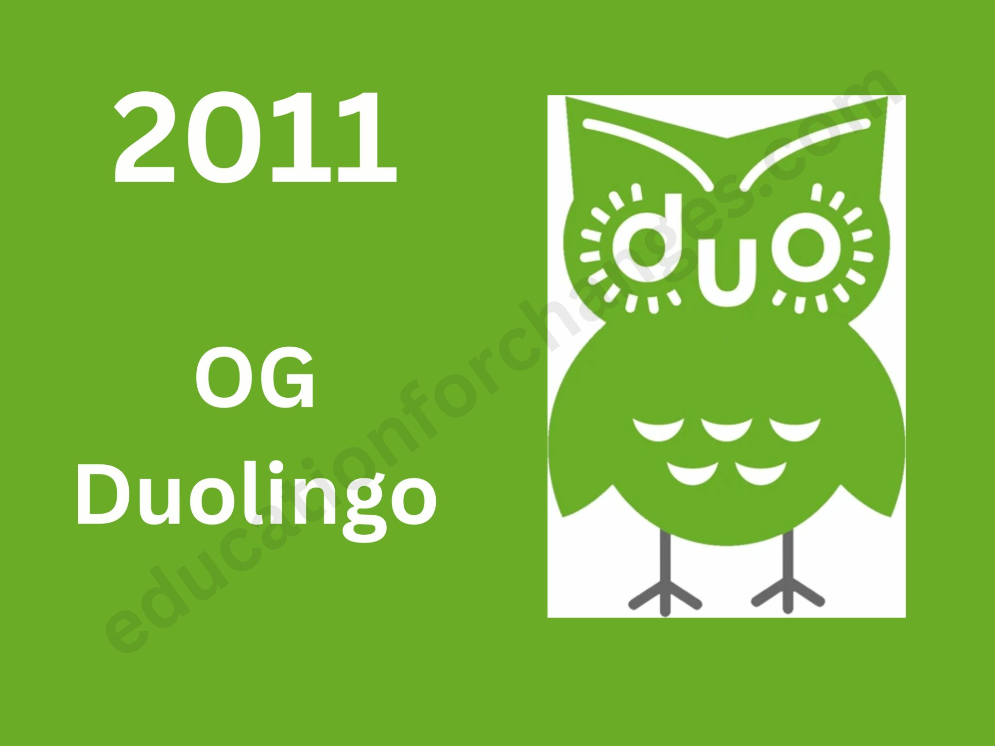 Meet The Duolingo Owl: How It Became So Popular? - Cherish Study
