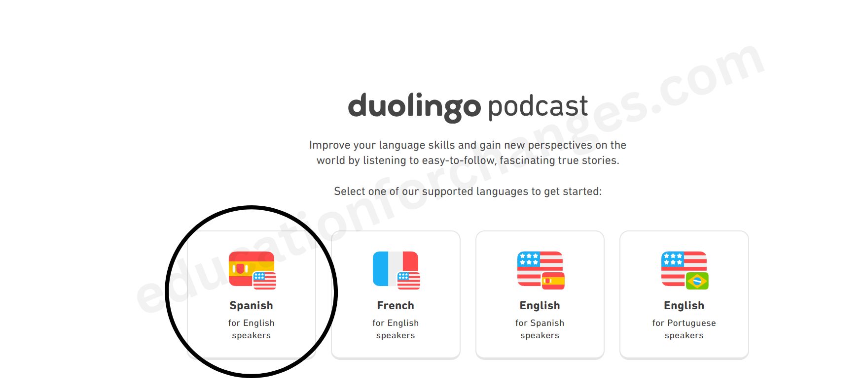 Learning Spanish with Duolingo - In-depth Guide 2024 - Cherish Study