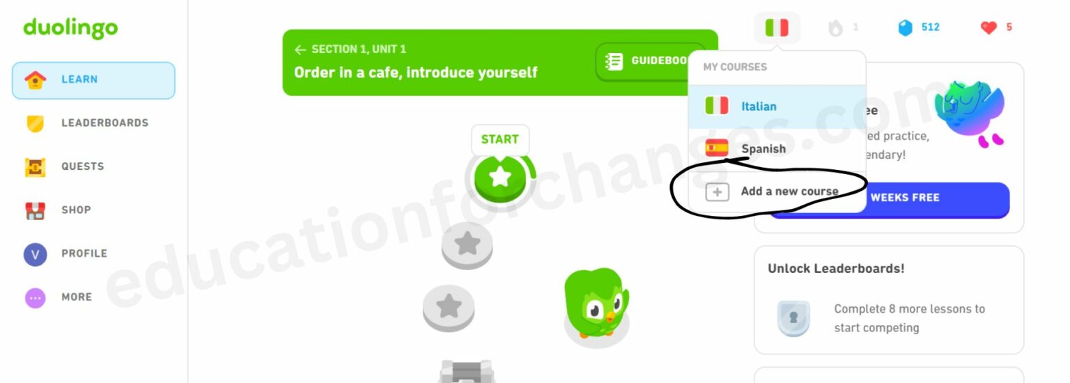 How To Change Language On Duolingo? (Step-by-Step Guide) - Cherish Study