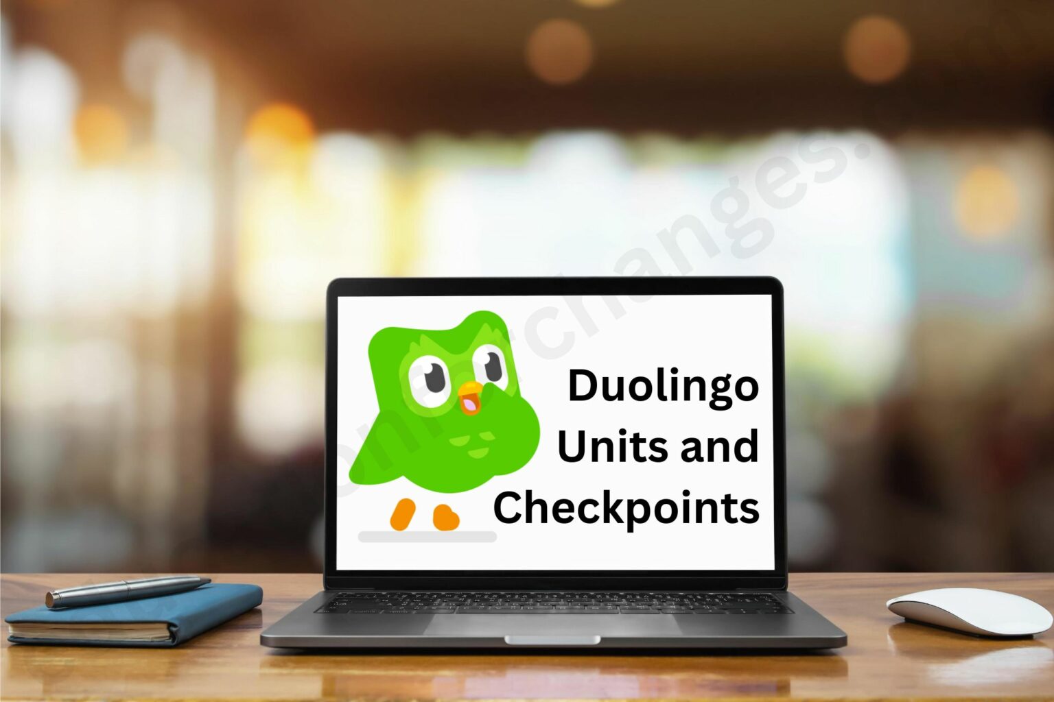 Duolingo Units and Checkpoints: In-Depth Guide 2024 - Cherish Study