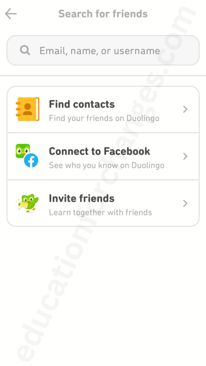 How To Add Friends On Duolingo In 2024? (Step-by-Step Process Explained ...