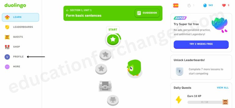 Duolingo Achievements: Complete Guide 2024 (Updated) - Cherish Study