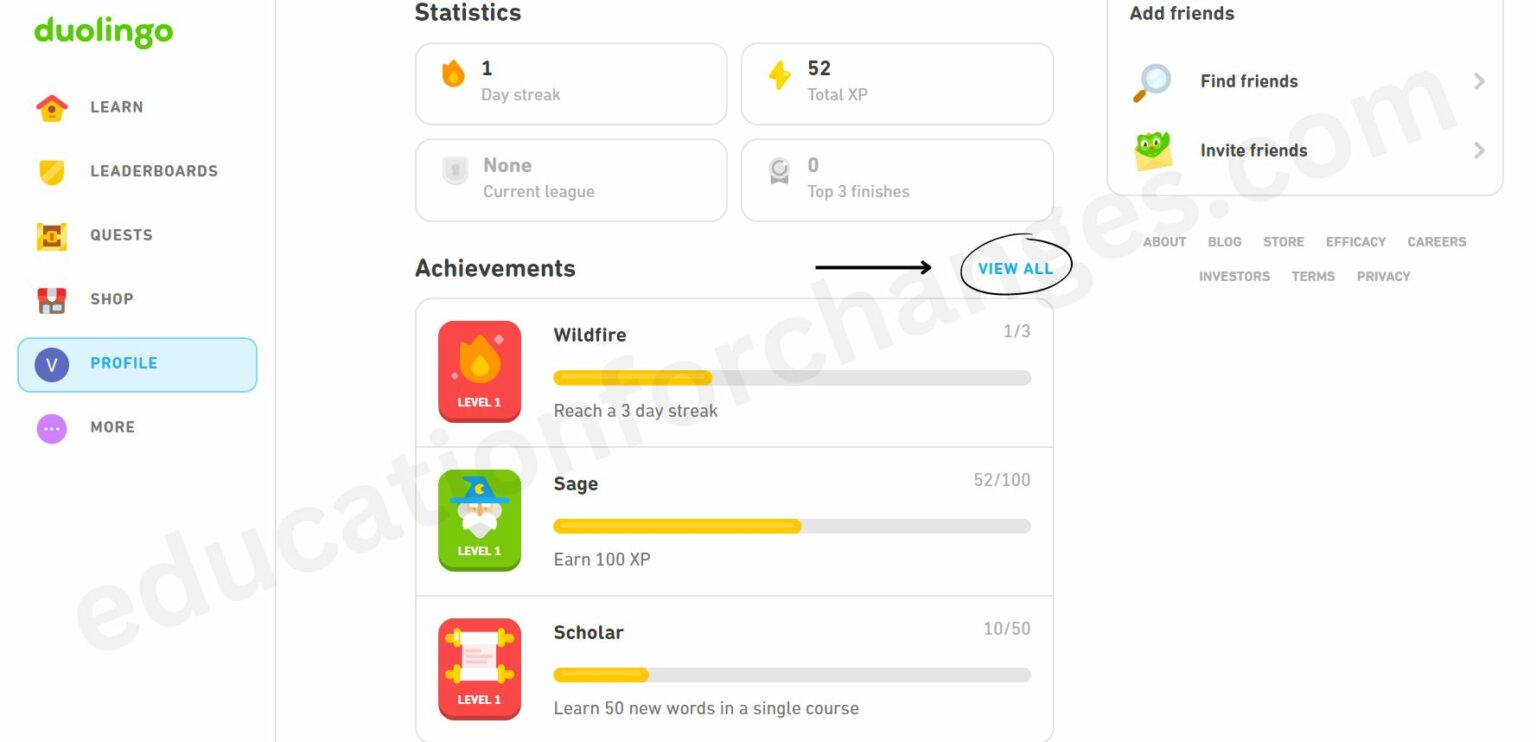 Duolingo Achievements: Complete Guide 2024 (Updated) - Cherish Study