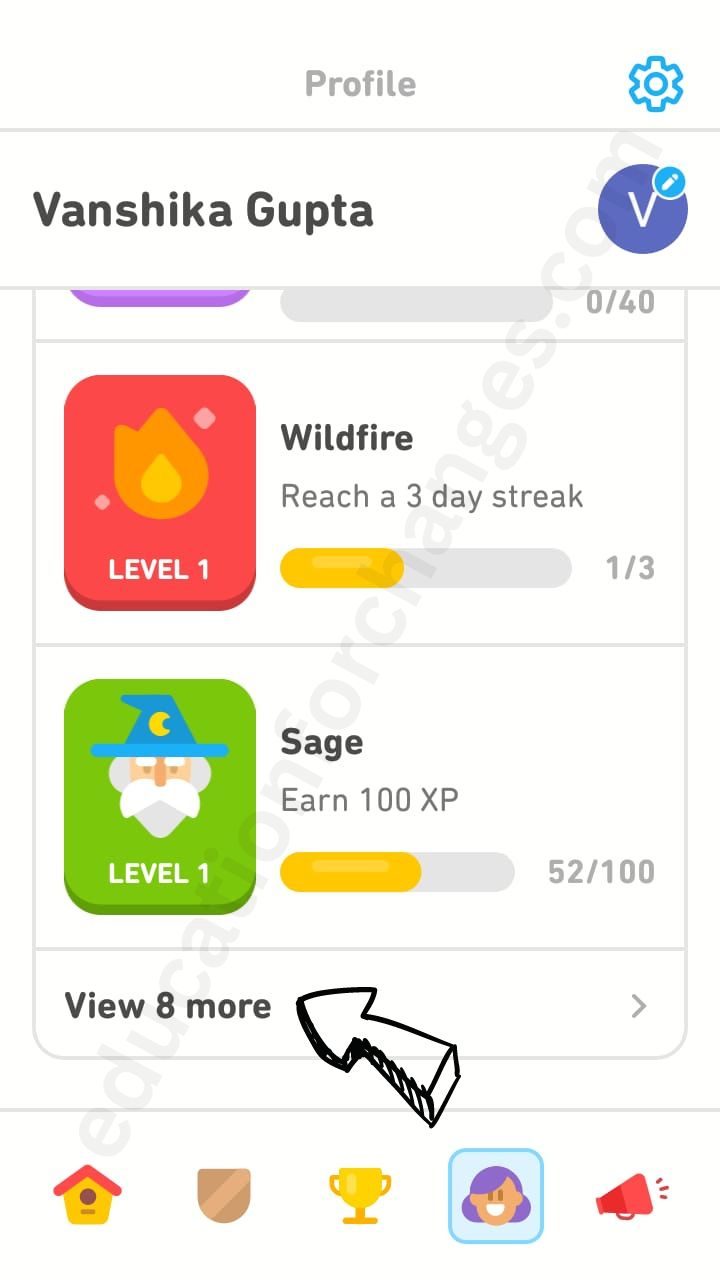 Duolingo Achievements: Complete Guide 2024 (Updated) - Cherish Study