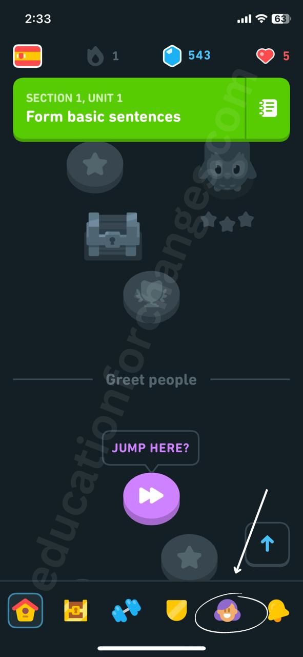 Duolingo Achievements: Complete Guide 2024 (Updated) - Cherish Study