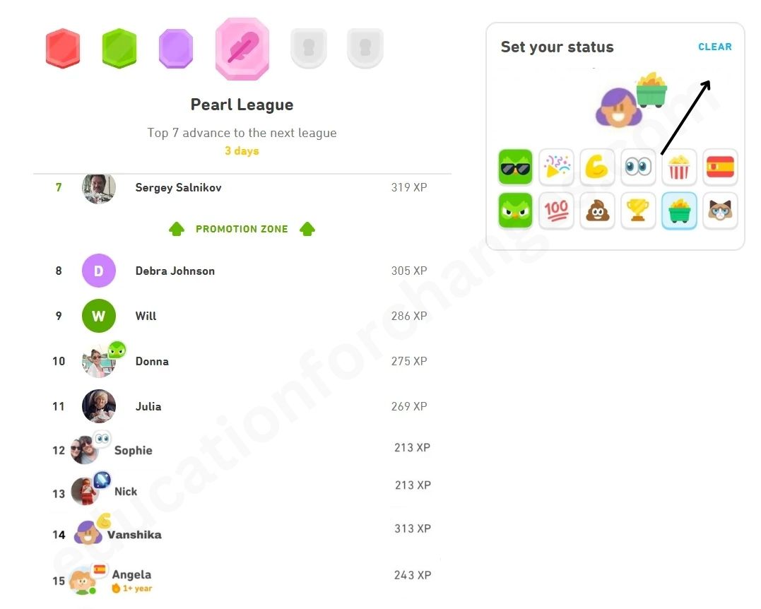 Duolingo Status Icons Explained & How To Change Them in 2024? - Cherish Study