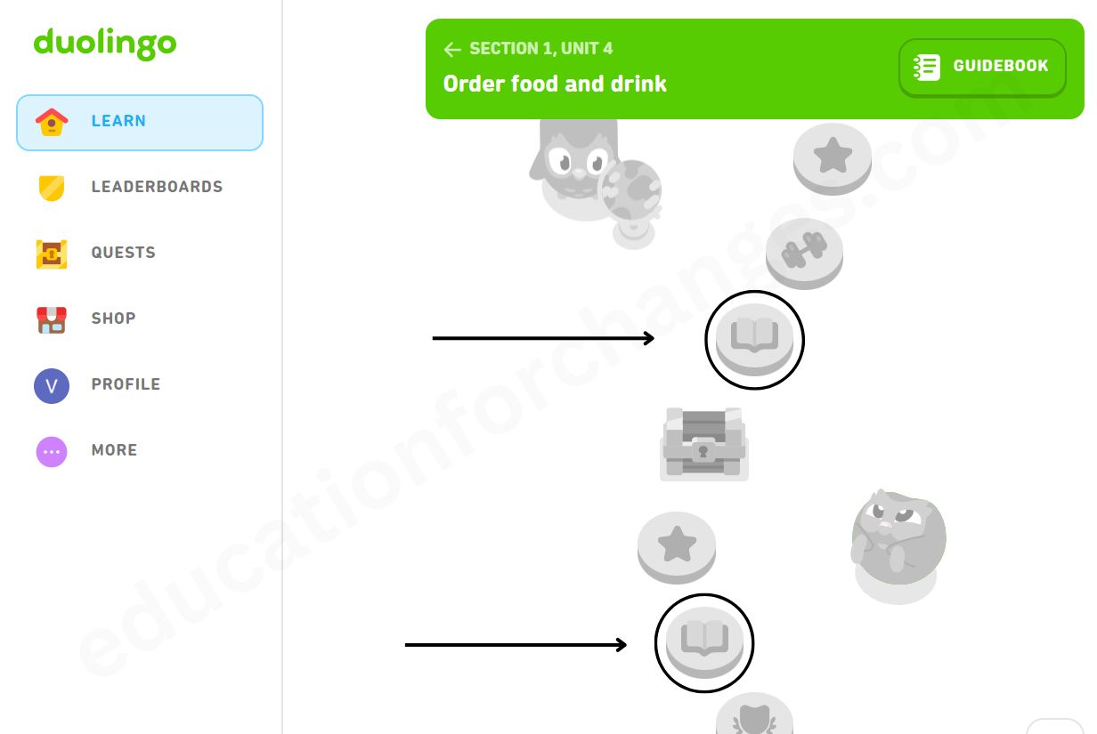 Duolingo Stories 2024: How to Access Them? (Everything Regarding Them ...