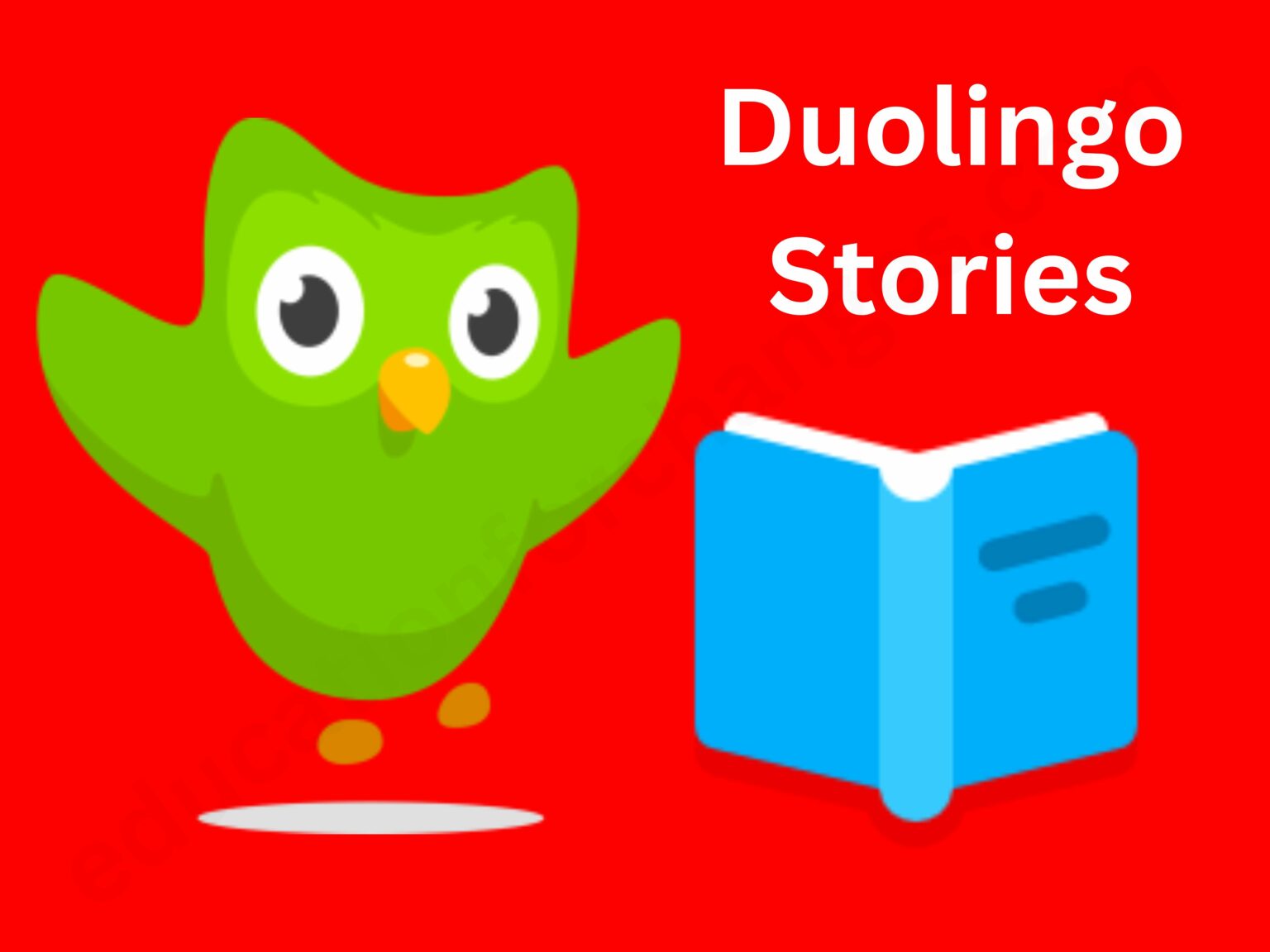 Duolingo Stories 2024: How to Access Them? (Everything Regarding Them ...
