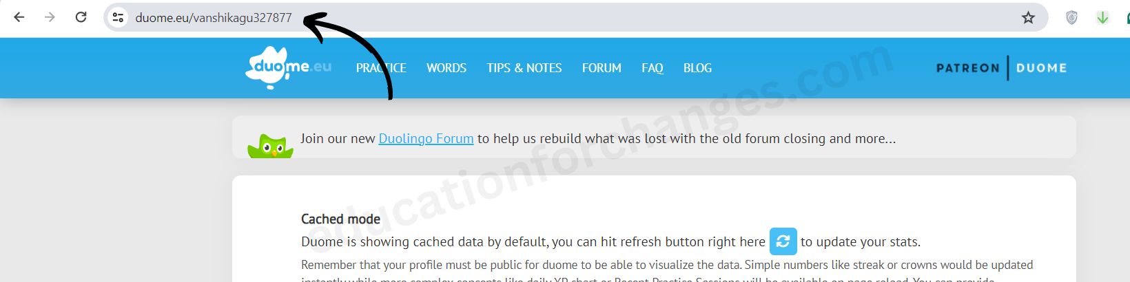 All Duolingo Crowns Explained: Why Do They Matter? (& How to Get Them ...