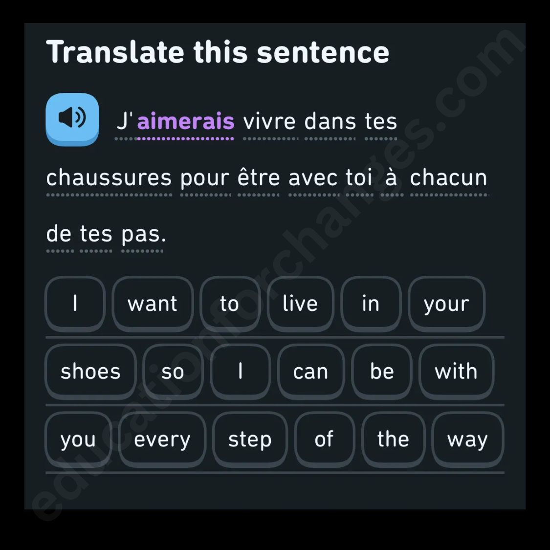 50+ Most Funny and Weird Duolingo Sentences Ever - Cherish Study