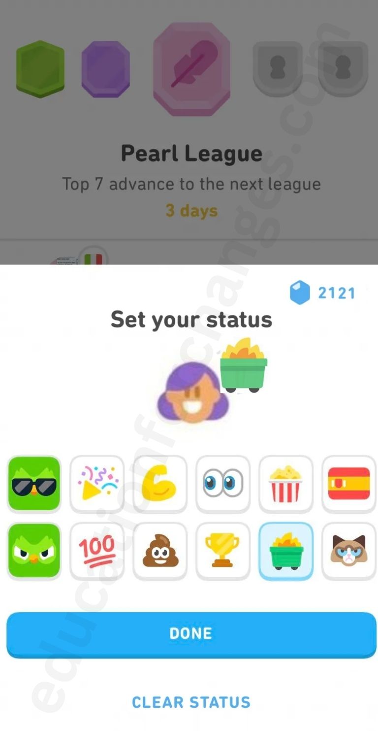 Duolingo Status Icons Explained & How To Change Them in 2024? - Cherish ...