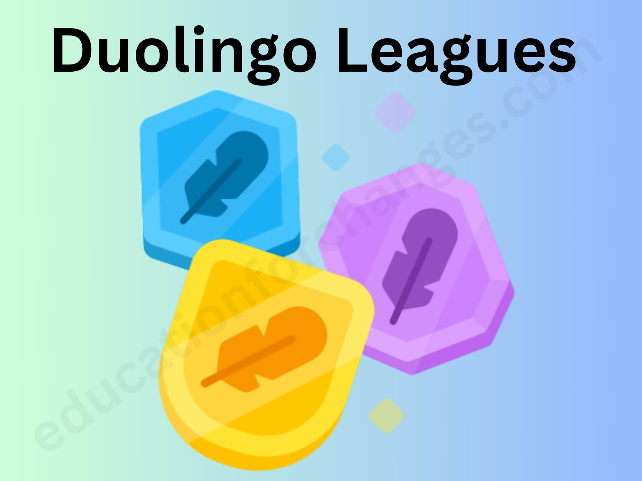 Is Duolingo Good To Learn Dutch? (Honest Review) - Cherish Study