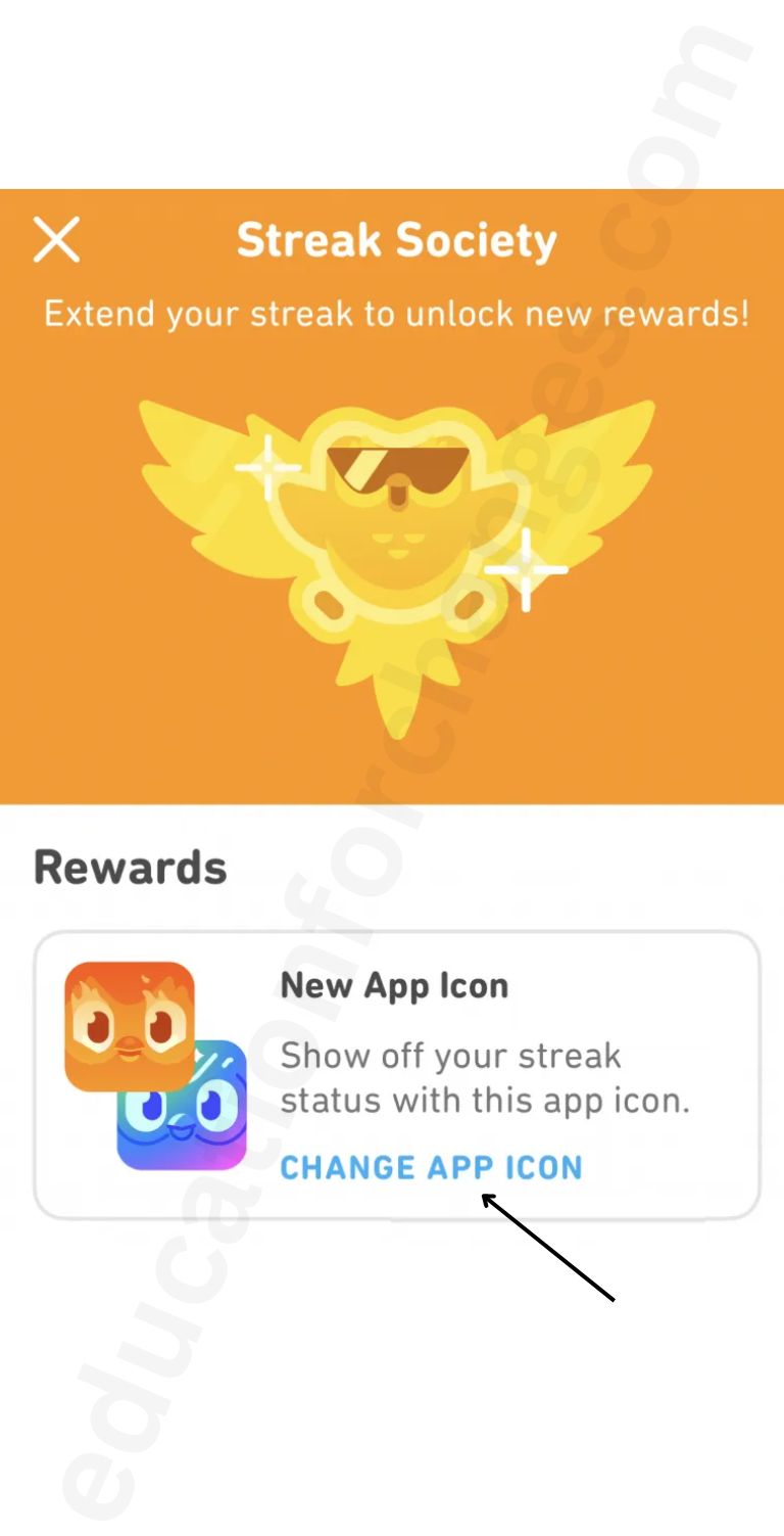 How To Change Your Duolingo App Icon (+ Available App Icons) - Cherish ...