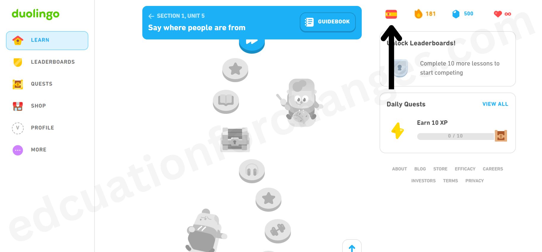 How To Change Language On Duolingo? (Step-by-Step Guide) - Cherish Study