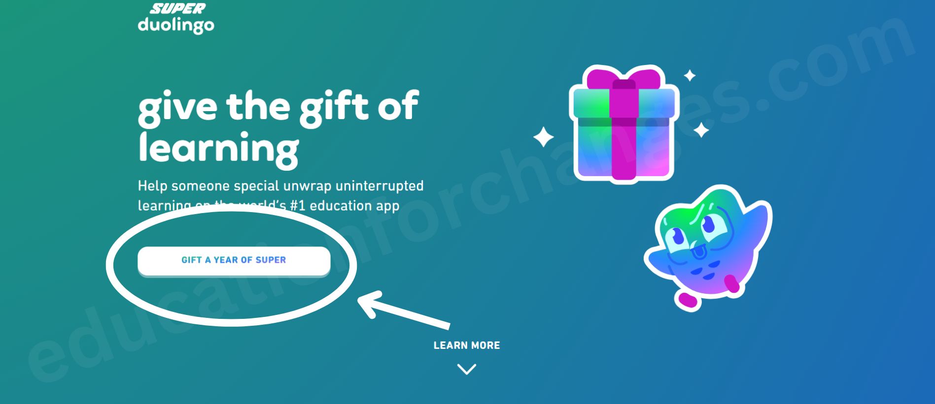 How to Gift Language Learning with a Duolingo Gift Card? - Cherish Study