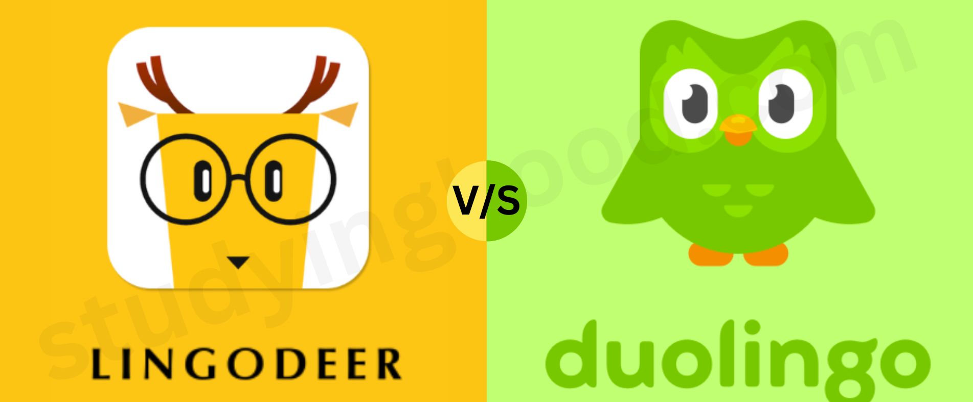 Lingodeer Review 2024: Should You Choose It? (Comparison With Duolingo ...